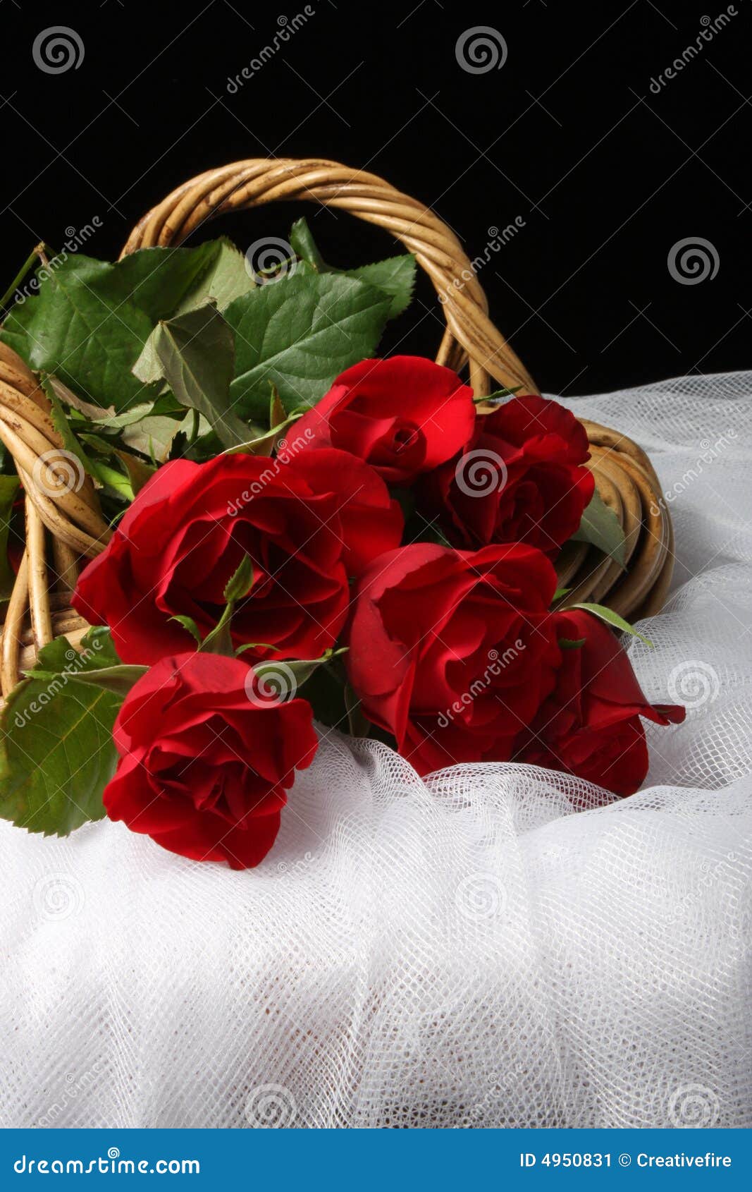 Red Roses in Basket stock image. Image of passion, romantic - 4950831