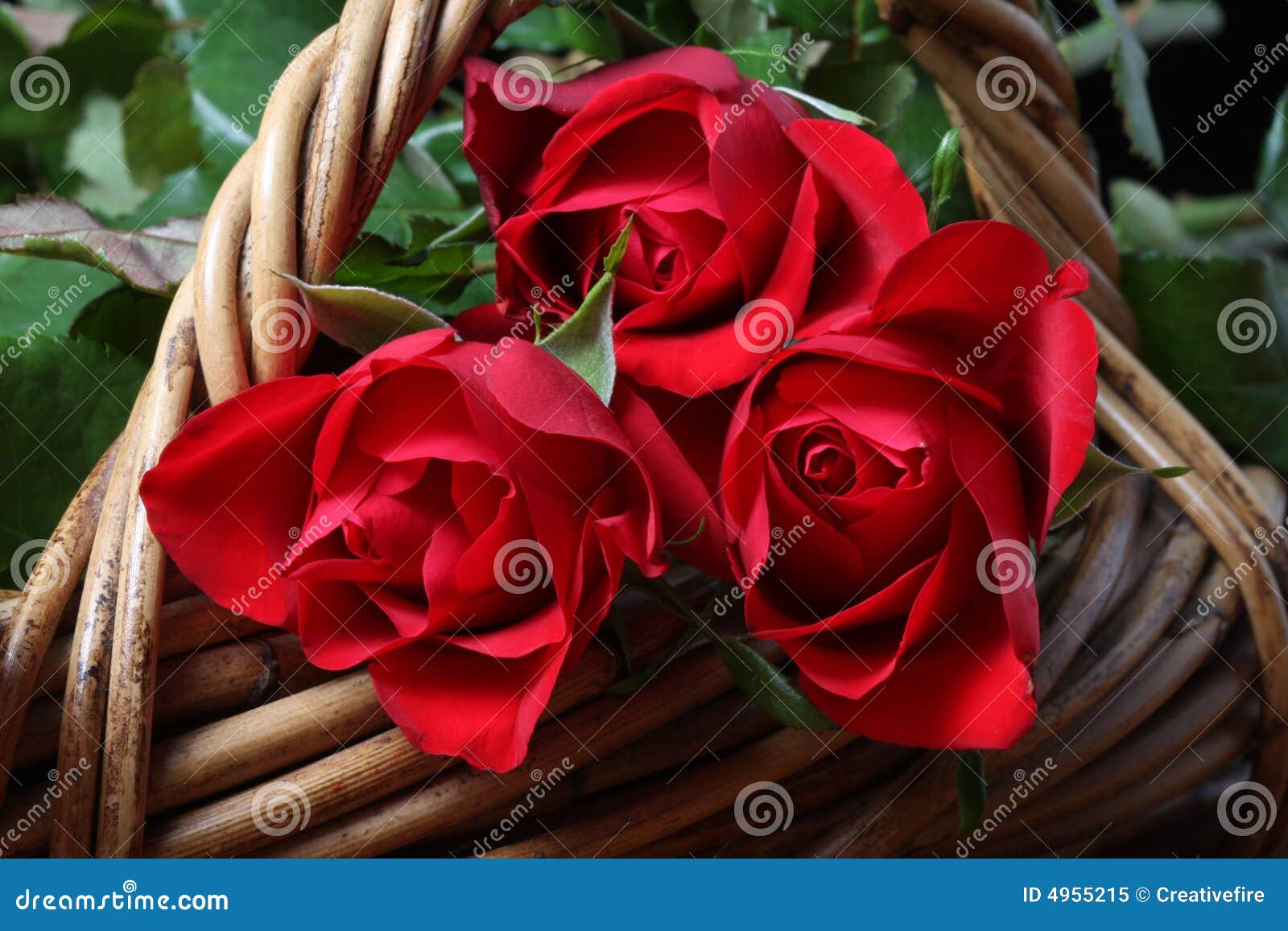 Red Roses in Basket stock image. Image of leaf, nature - 4955215