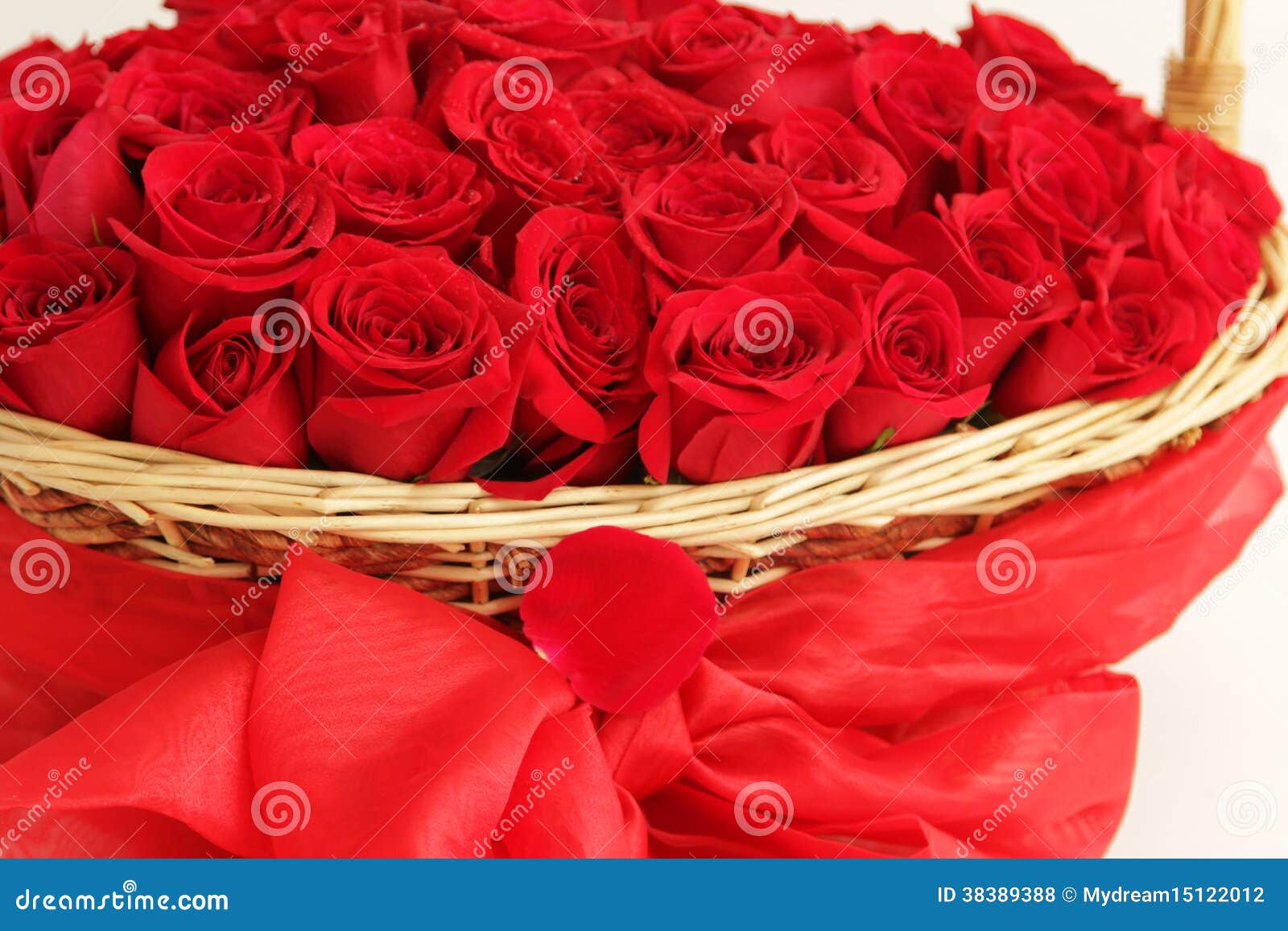 Red Roses in the Basket stock photo. Image of fragility - 38389388