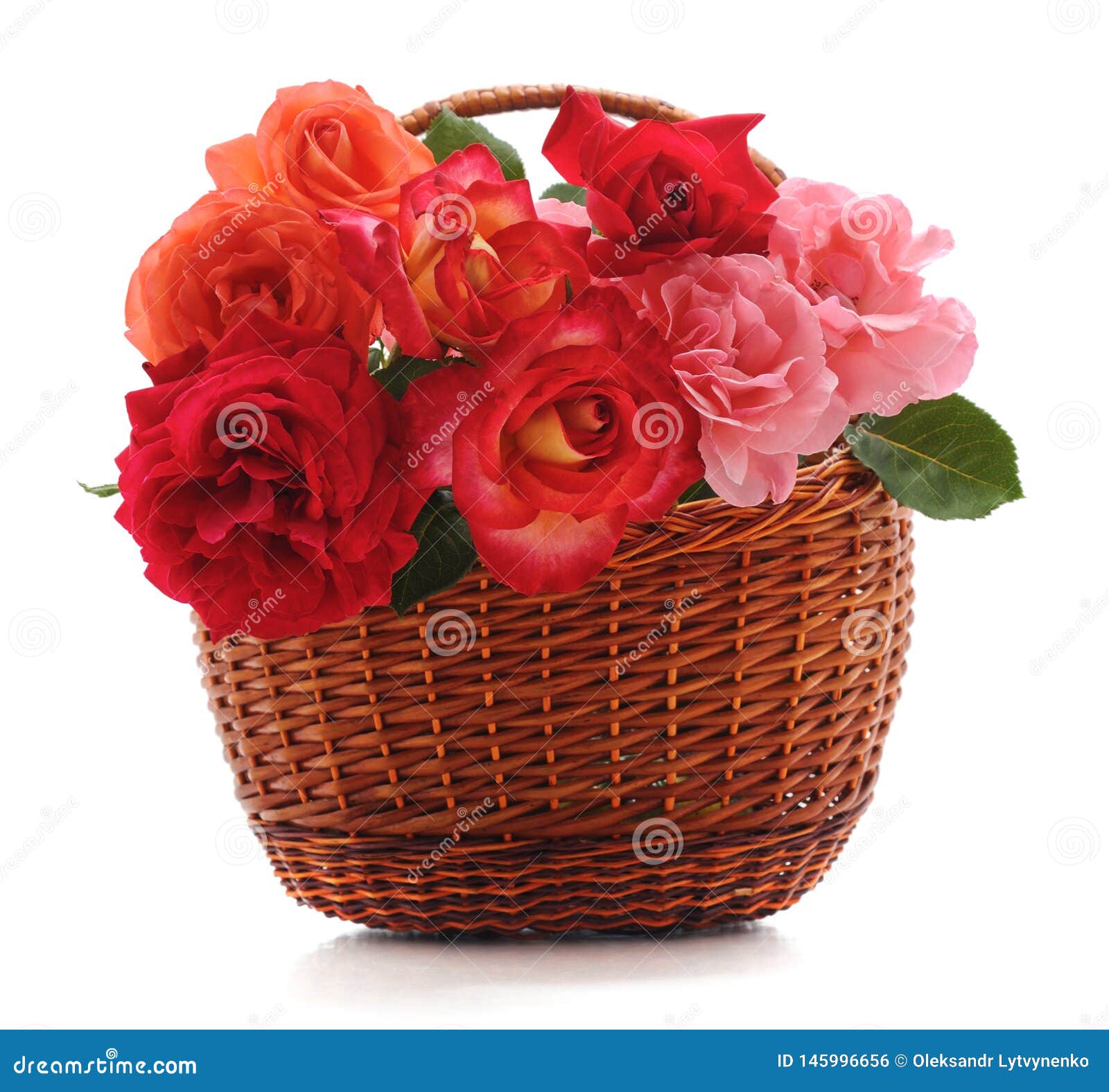 Red roses in a basket stock photo. Image of decoration - 145996656