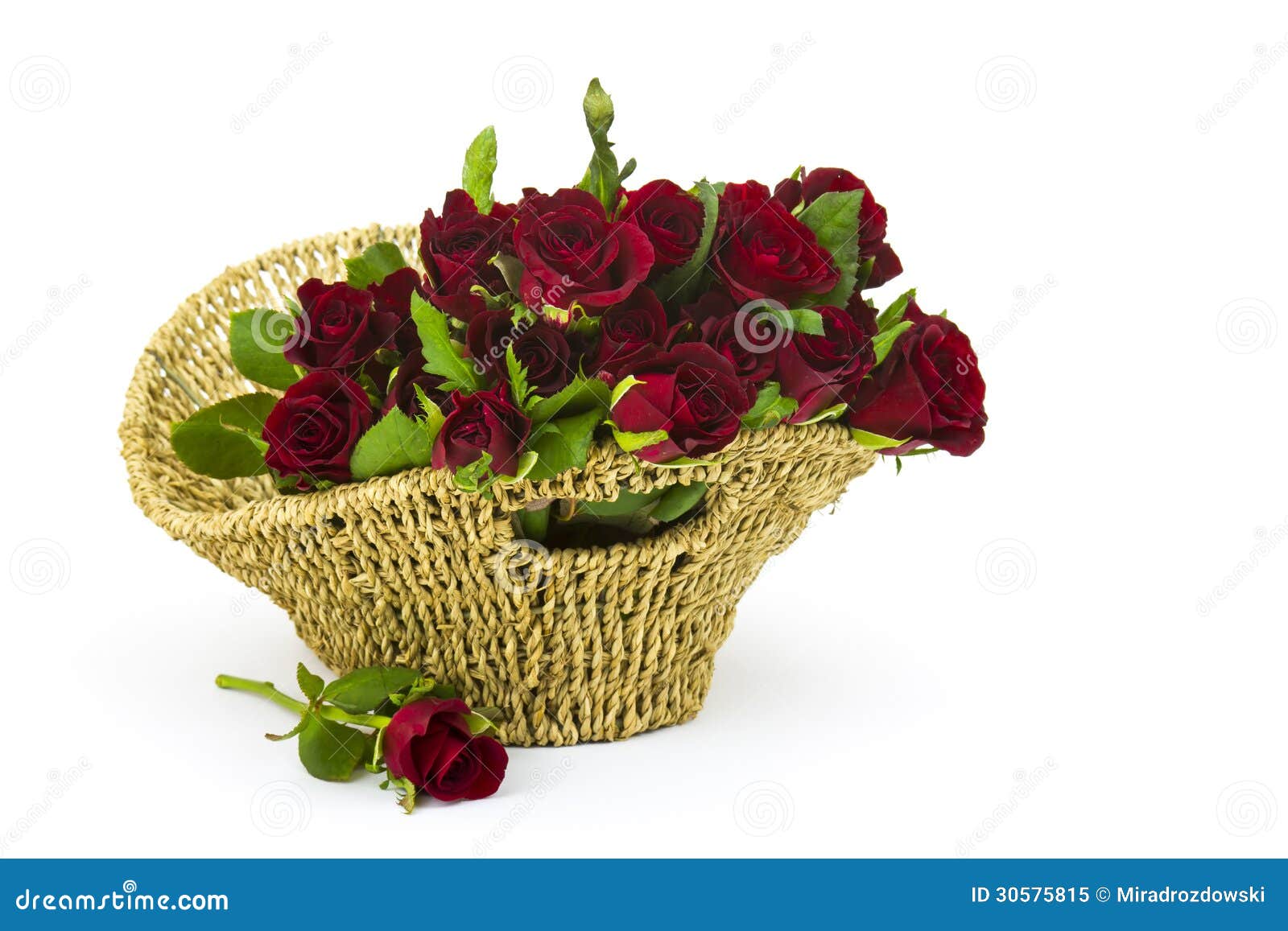 Red roses in a basket stock image. Image of copy, blooming - 30575815