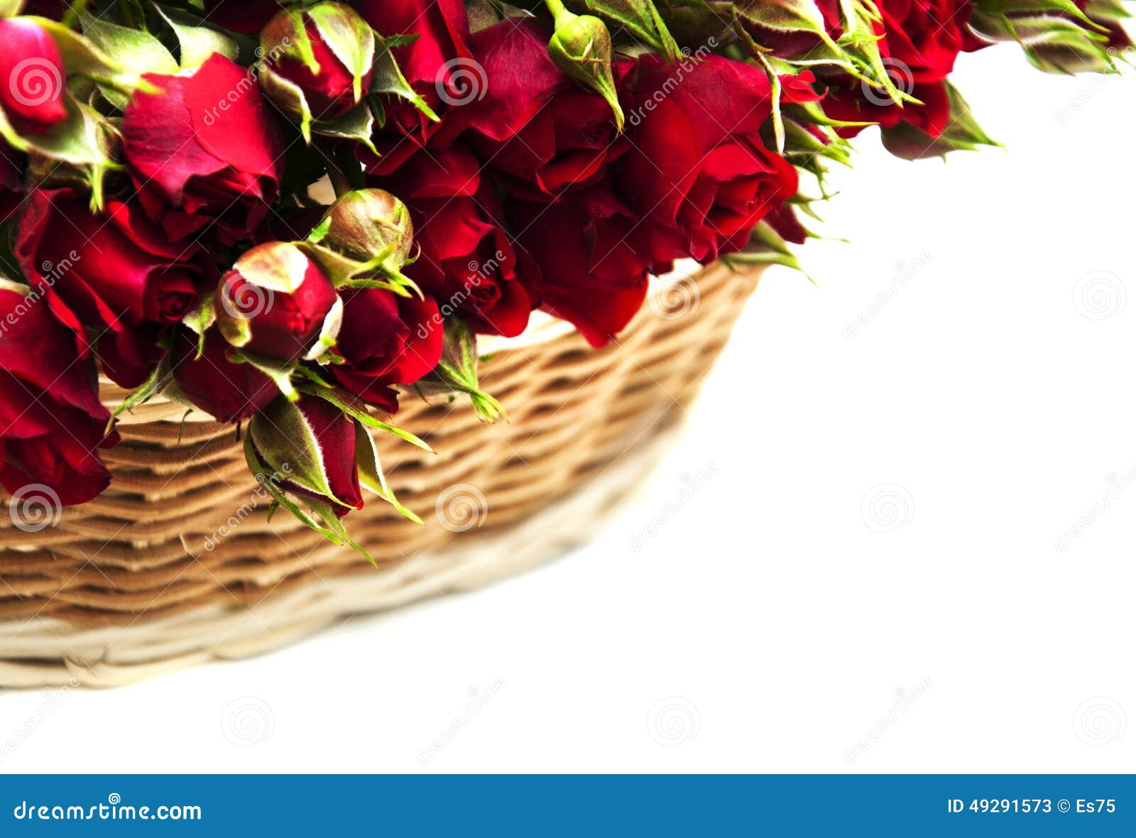 Red roses in basket stock image. Image of celebration - 49291573