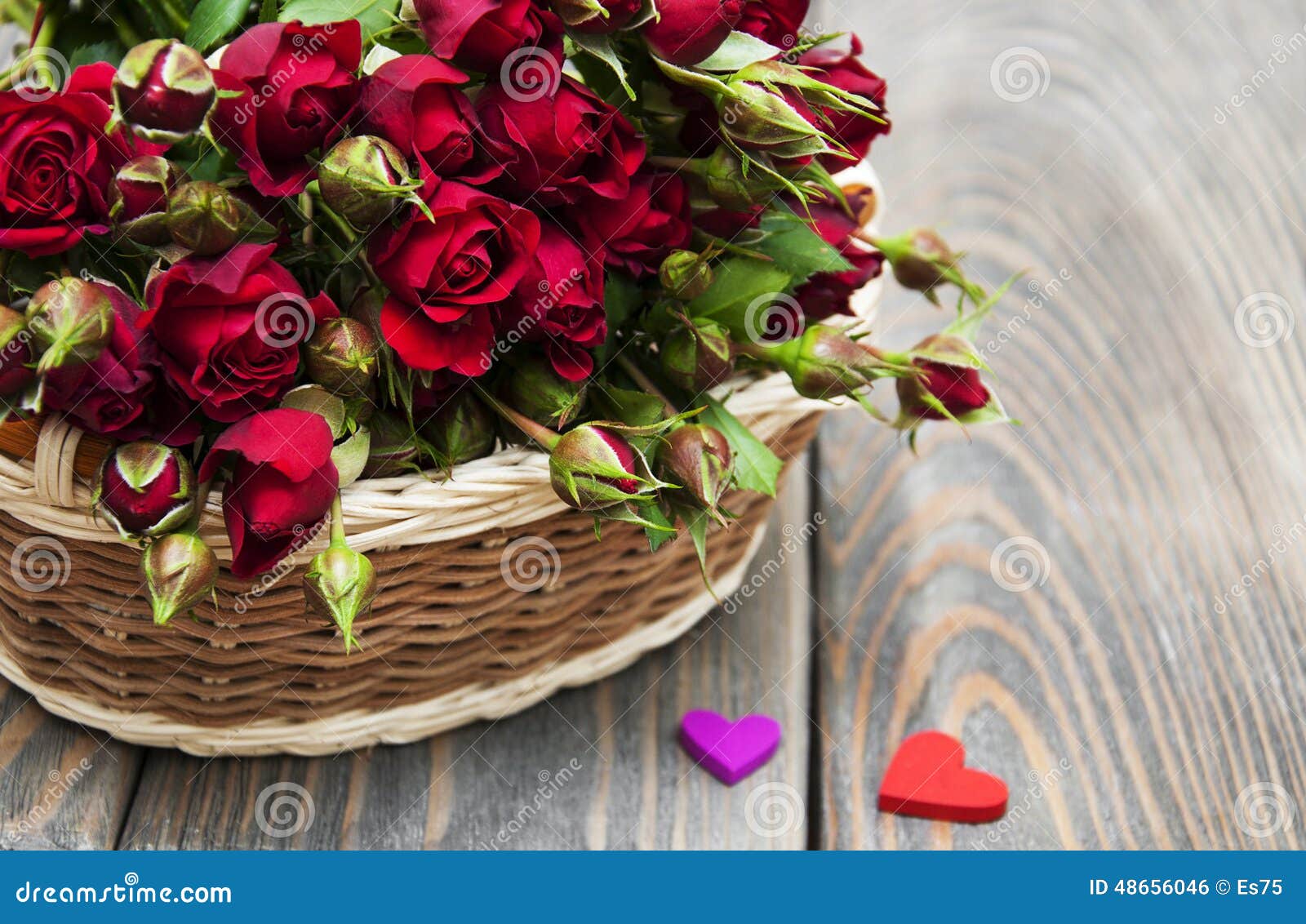 Red roses in basket stock photo. Image of celebration - 48656046