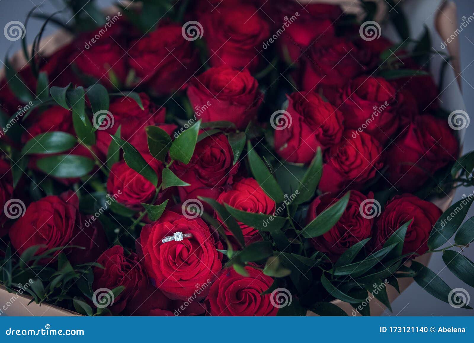 Beautiful Red Roses with Diamond Ring. Stock Photo - Image of ...