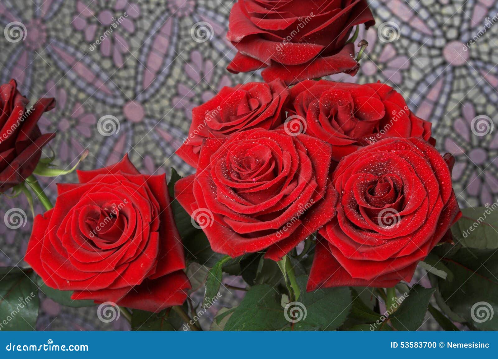 Red roses stock photo. Image of relax, holiday, floral - 53583700