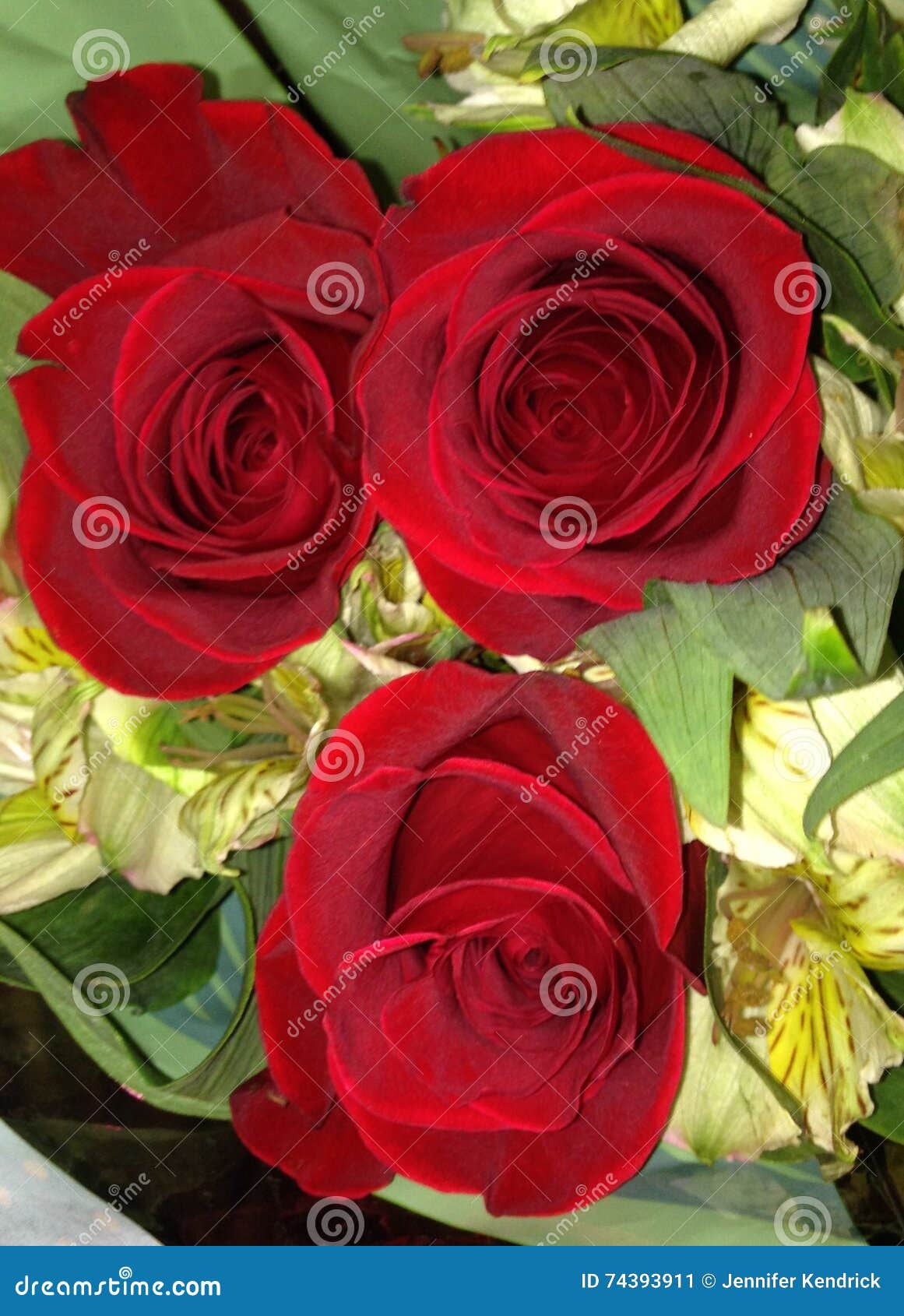 Red roses stock image. Image of beautiful, roses, greenery - 74393911