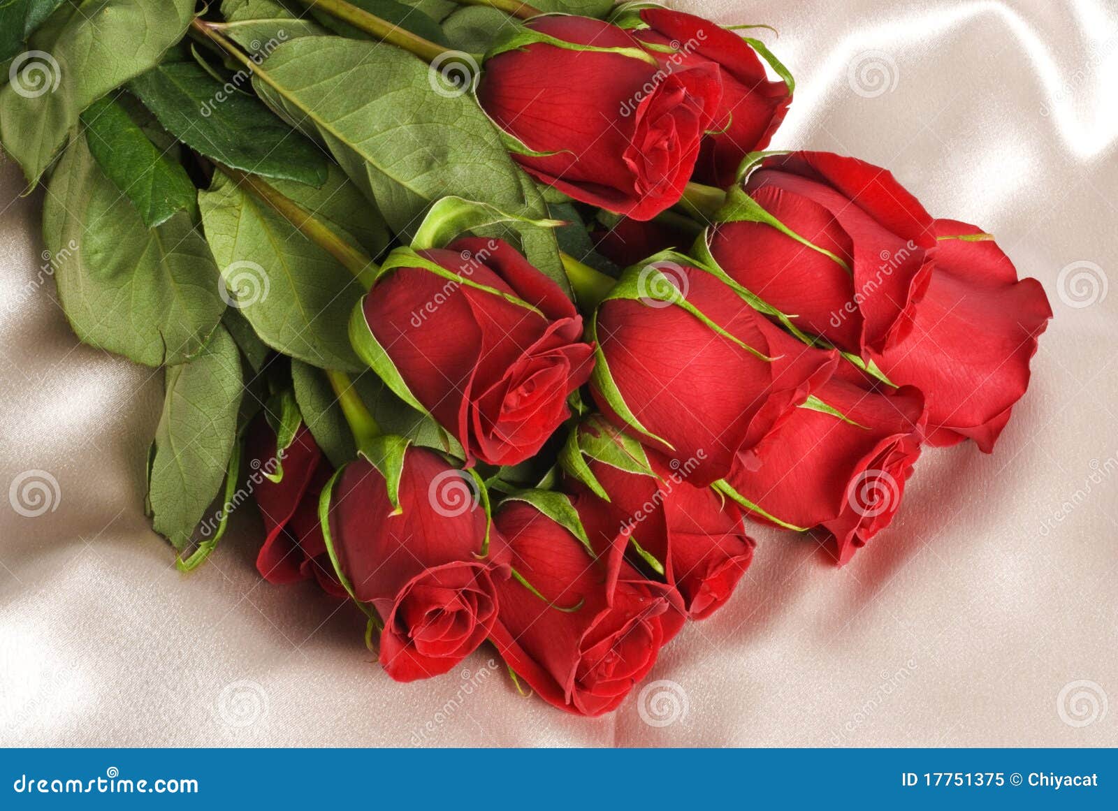 Red Roses on Beige Satin stock image. Image of dozen - 17751375