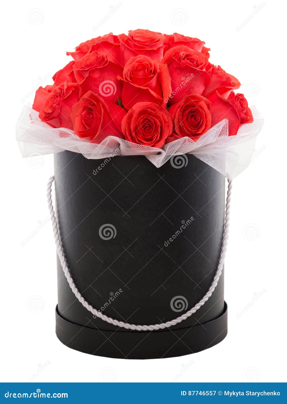 Red Roses in Black Luxury Present Box. Flower Box. Stock Image - Image ...