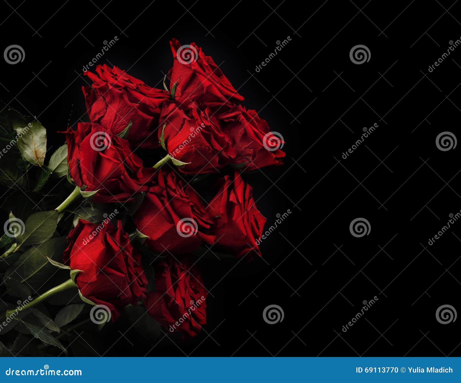 251 Empty Low Key Red Background Stock Photos - Free & Royalty-Free ...