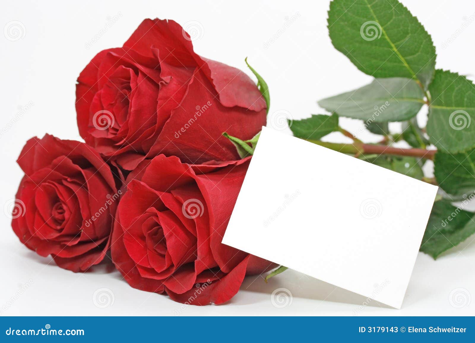 Red Roses with a Blank Note Stock Image - Image of beauty, isolated ...