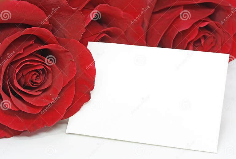 Red Roses with a Blank Note Stock Photo - Image of birthday, romance ...