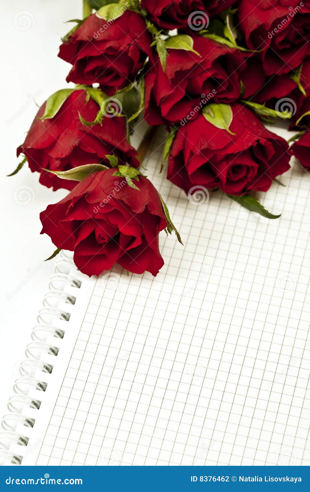 Red roses with blank note stock photo. Image of holiday - 8376462