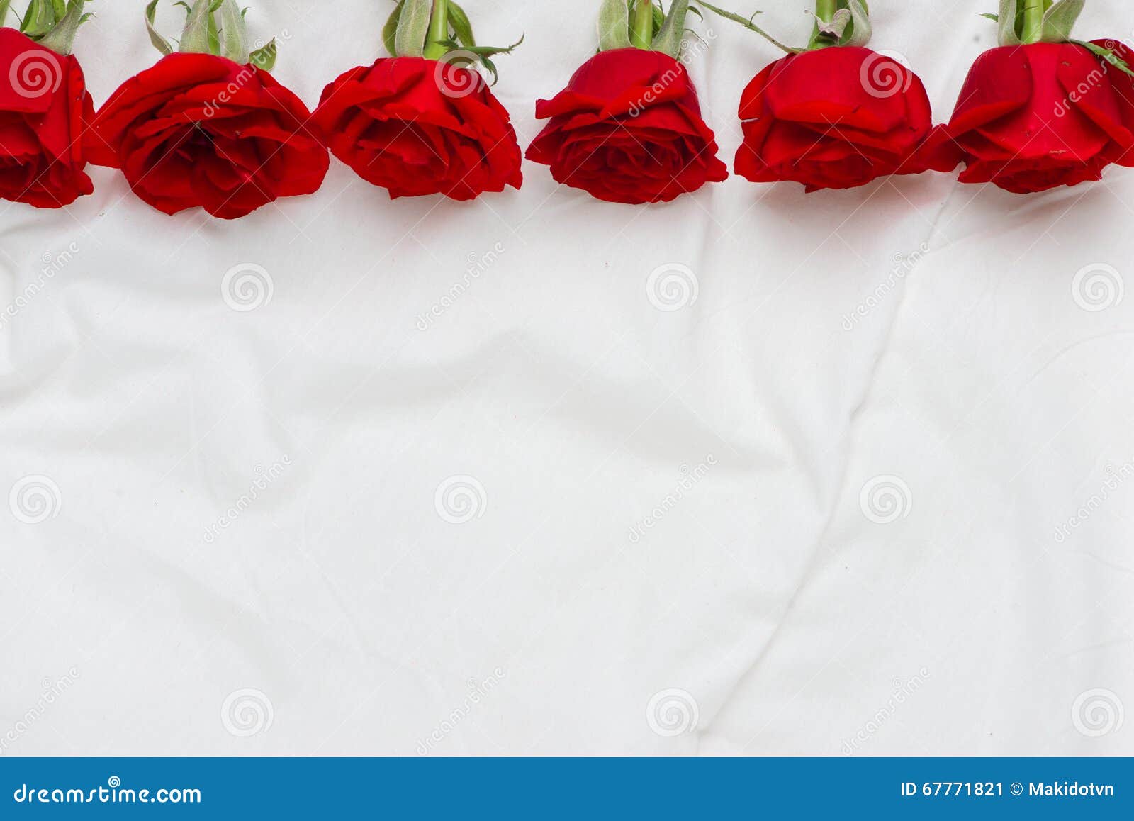 Red Roses with a Blank Note Stock Image - Image of beautiful, lovely ...