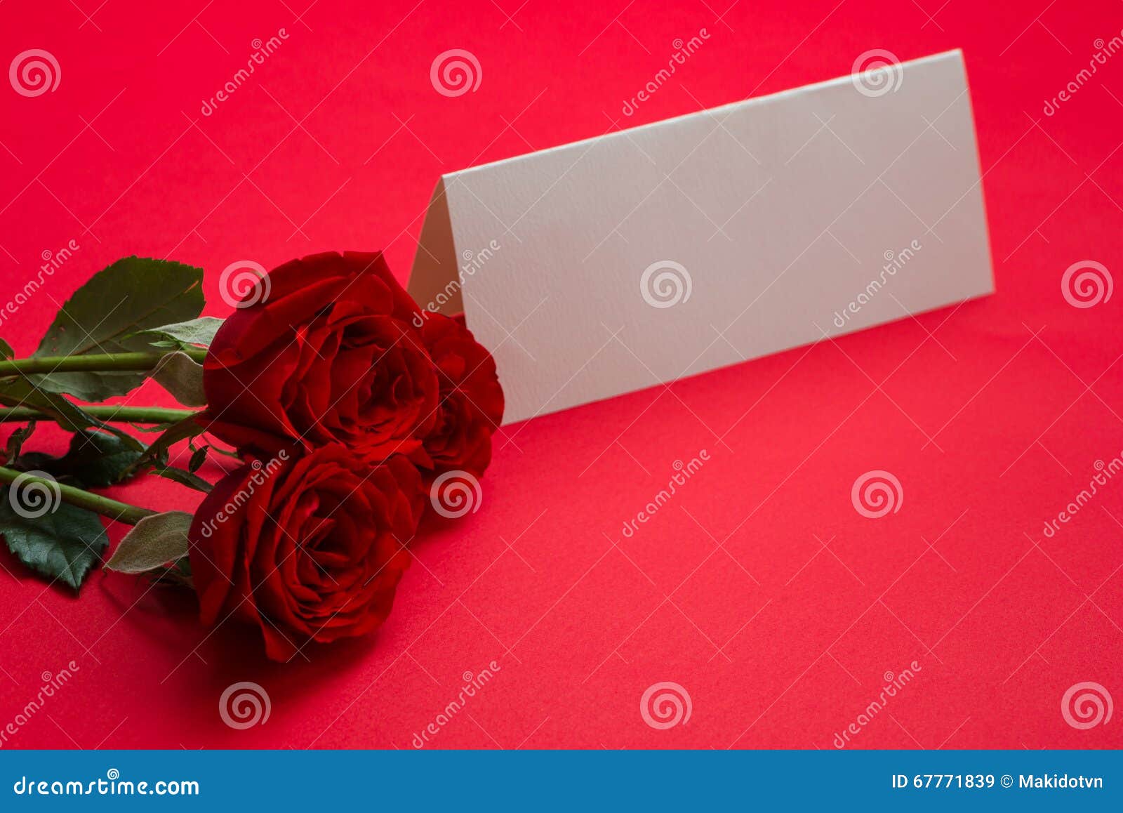 Red Roses with a Blank Note Stock Image - Image of occasion, macro ...