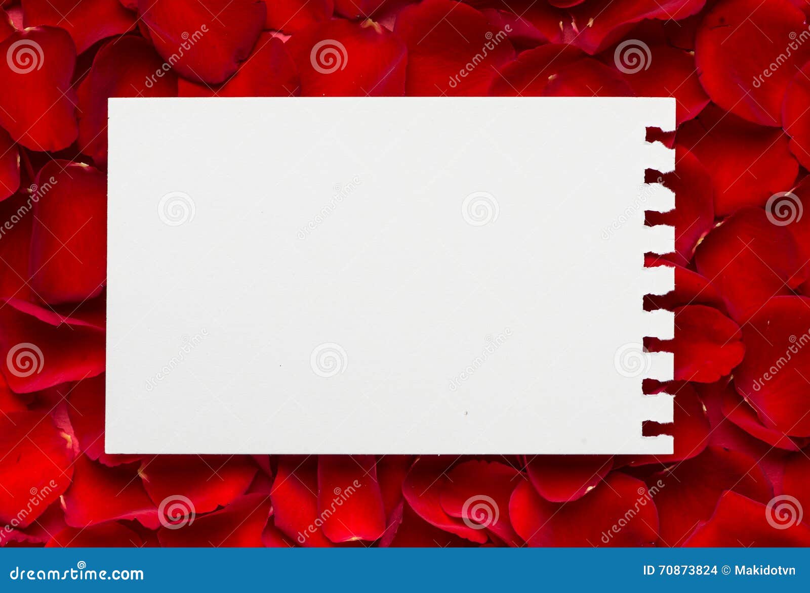Red Roses with a Blank Note Stock Photo - Image of lovely, bloom: 70873824