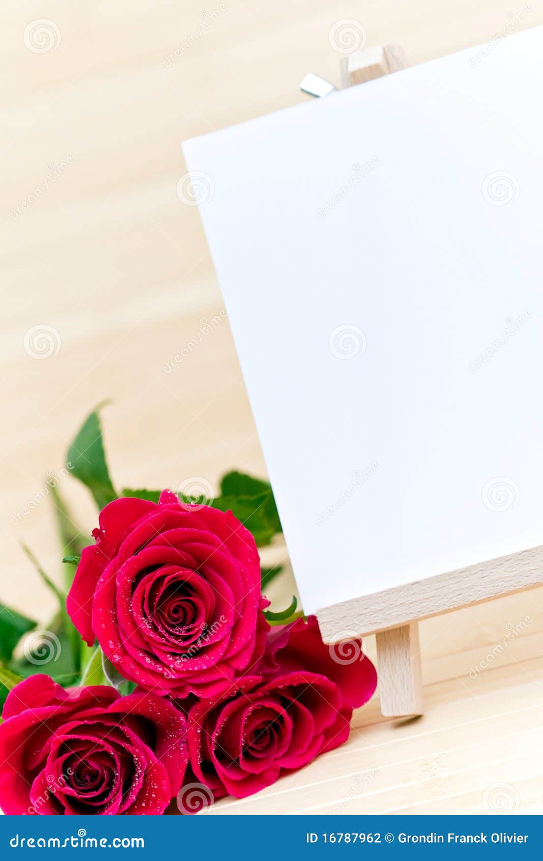 Red roses and blank sign stock photo. Image of space - 16787962