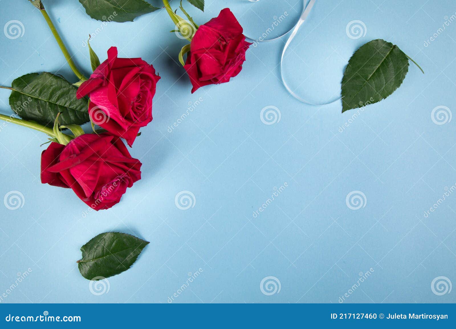 Red Roses on a Blue Background Stock Photo - Image of love, gift: 217127460
