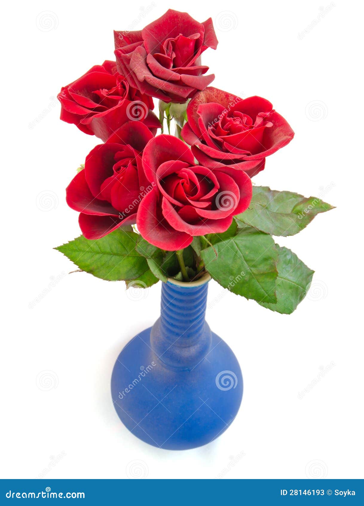 Red roses in blue vase stock image. Image of anniversary - 28146193