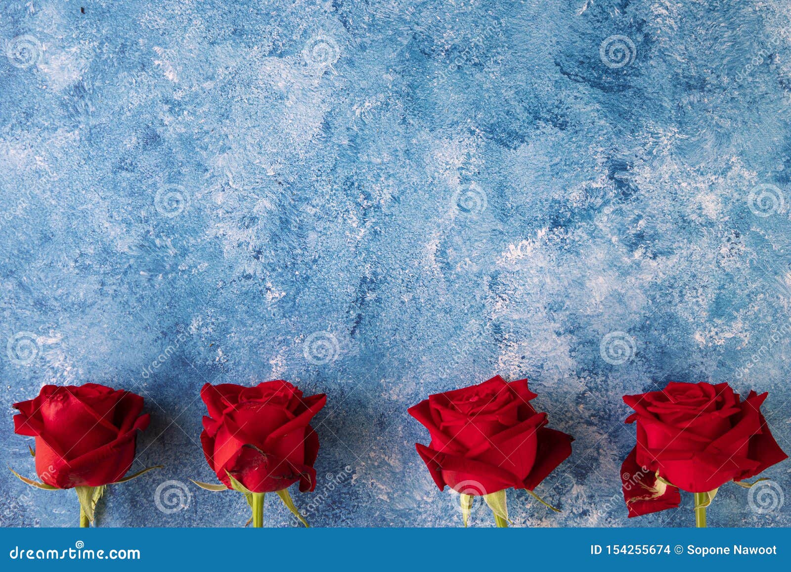 Red Roses on Blue and White Acrylic Background Stock Photo - Image of ...