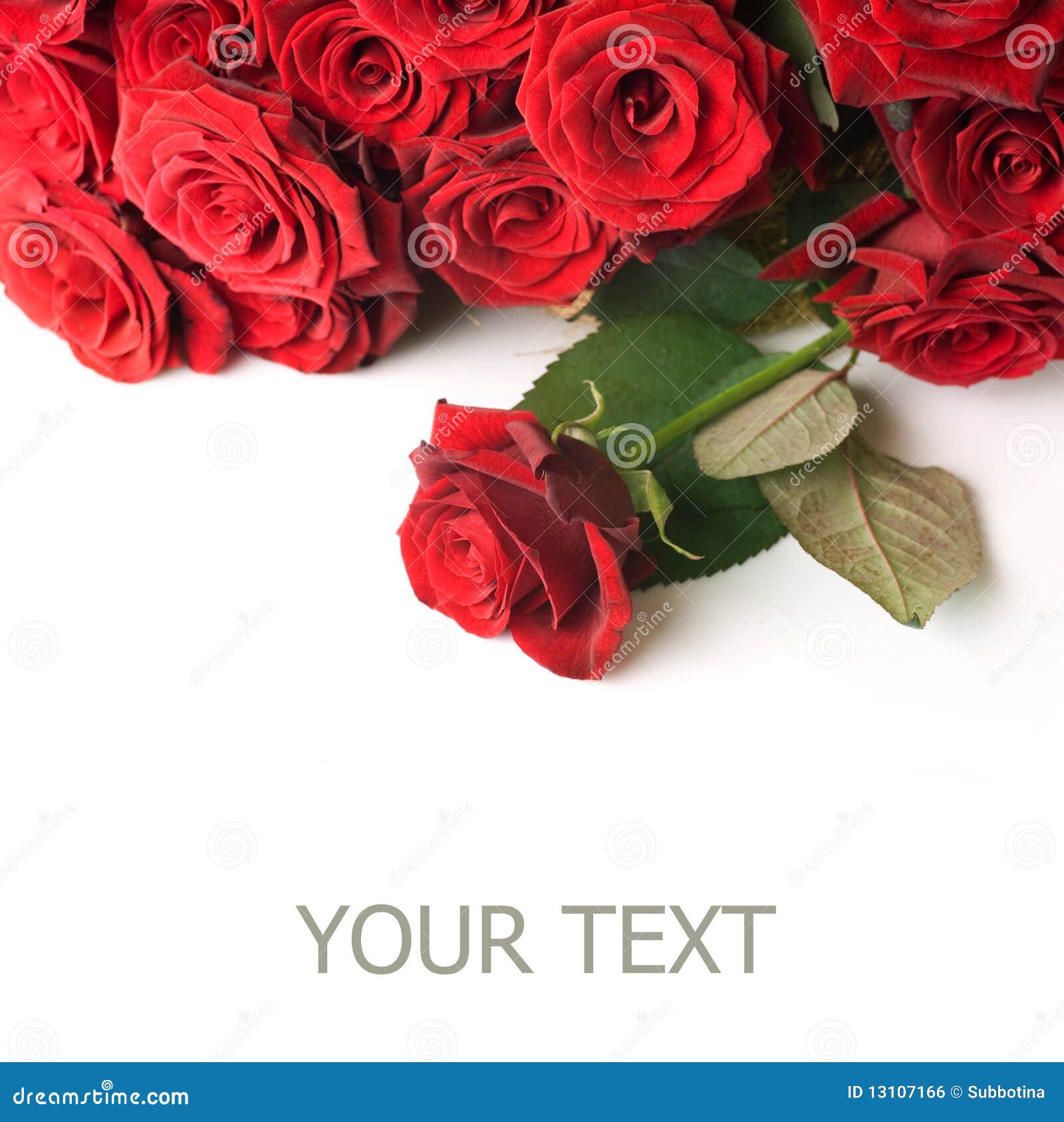 Red Roses Border stock photo. Image of bloom, gift, head - 13107166