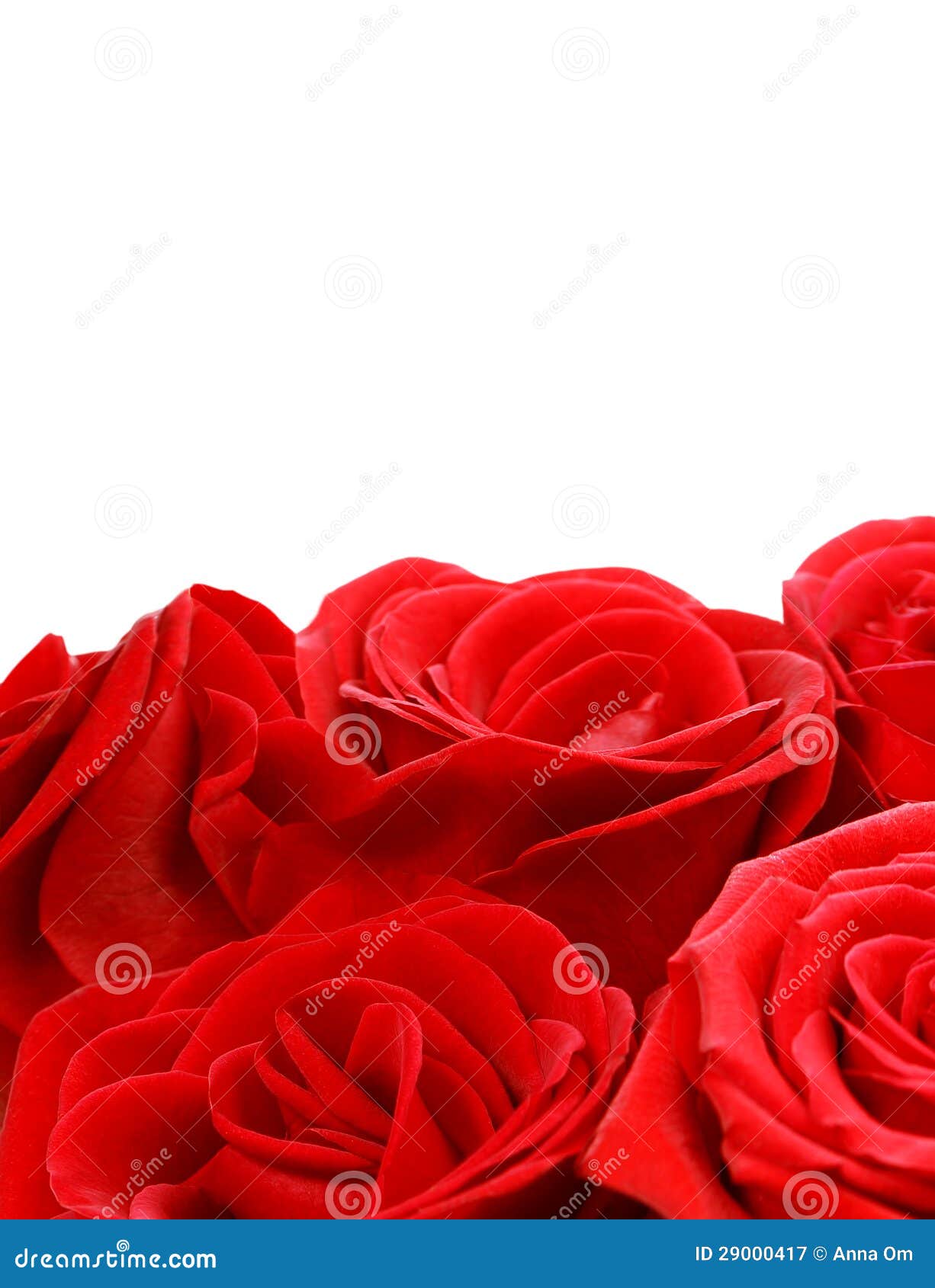 Red Roses Border Royalty Free Stock Photography - Image: 29000417