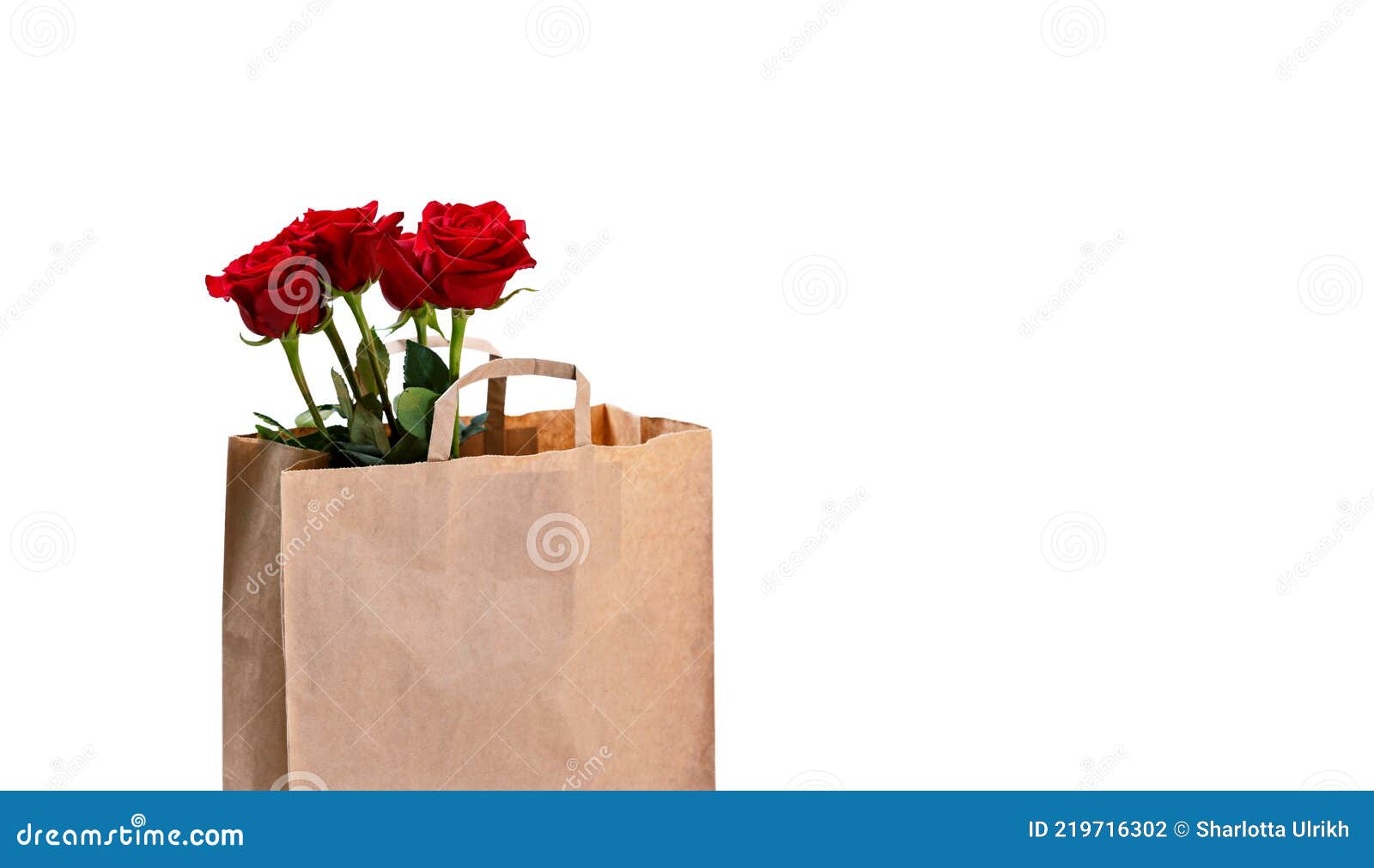 Red Roses Bouquet in Bag Isolated on White. Stock Photo - Image of ...