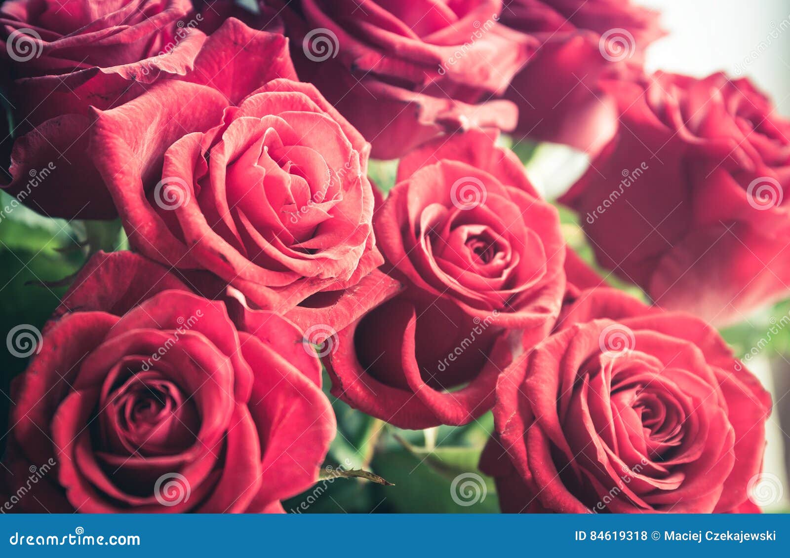 Red roses bouquet stock photo. Image of love, nosegay - 84619318
