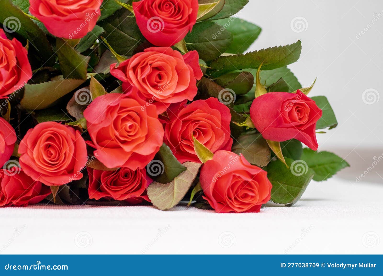 Red Roses. a Bouquet of Red Roses for Congratulating on the Holiday ...