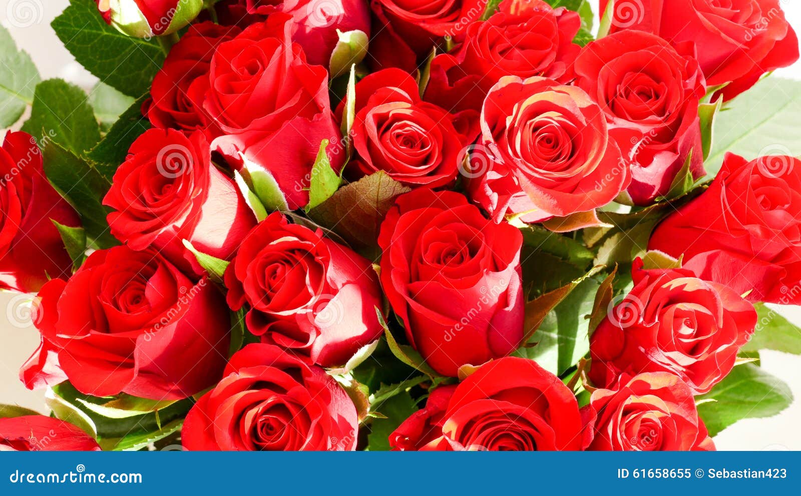 Red roses stock image. Image of beauty, beautiful, celebration - 61658655