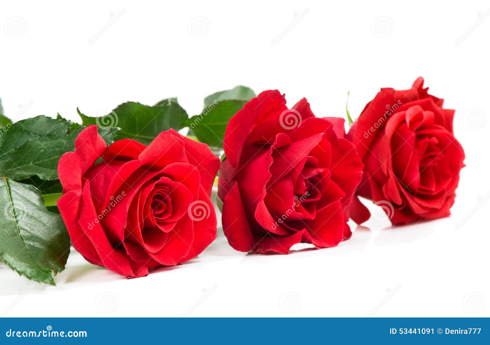 Red roses bouquet stock image. Image of closeup, roses - 53441091