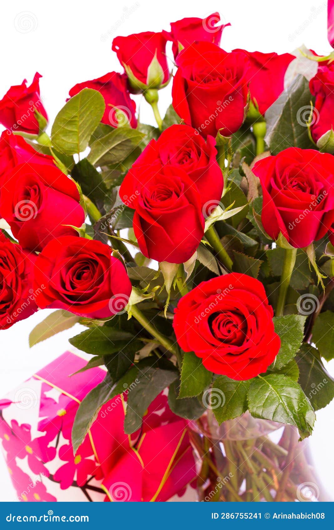 Red roses stock image. Image of floral, flower, packaged - 286755241