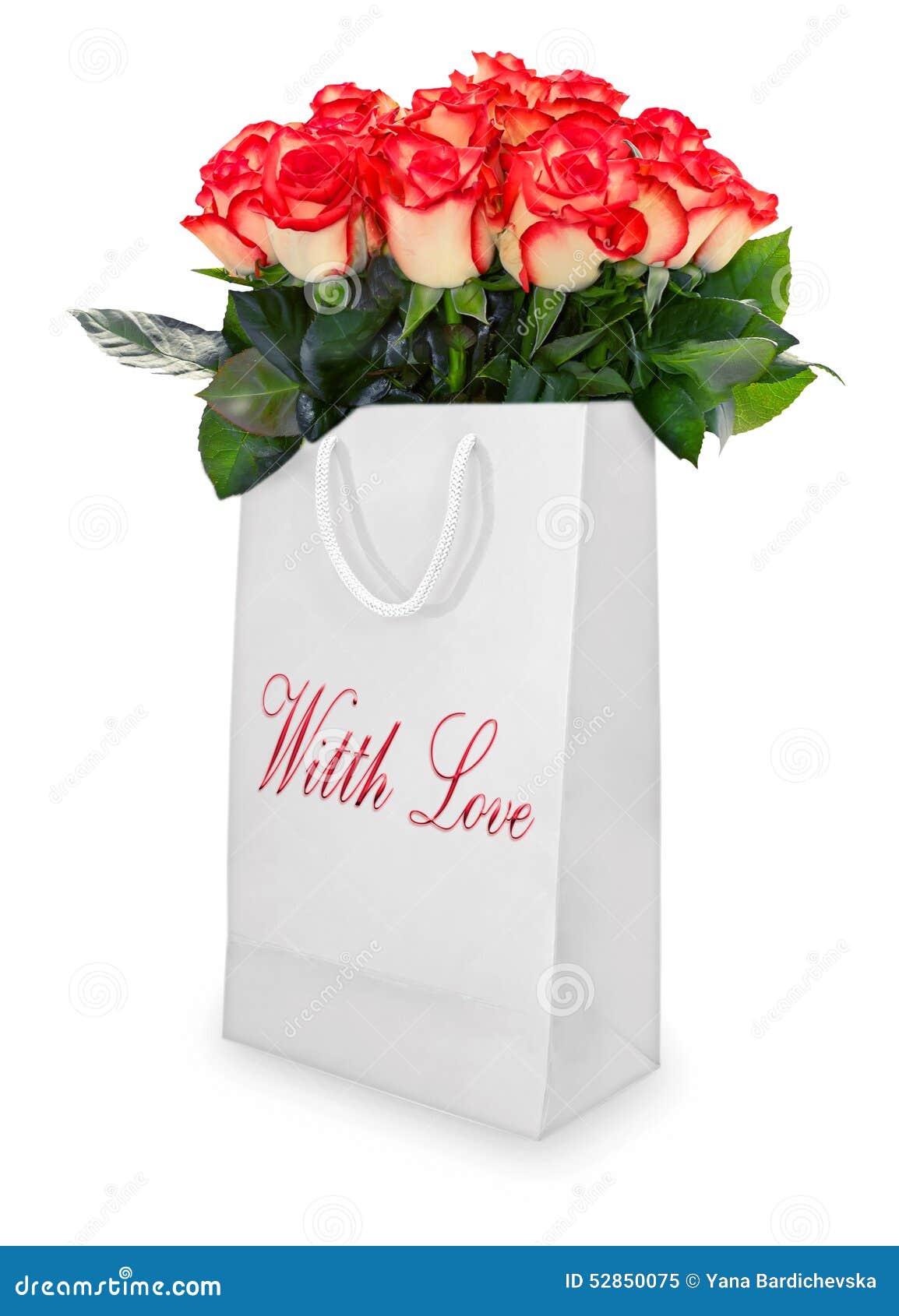 Red Roses Bouquet in White Bag Isolated. Stock Image - Image of green ...