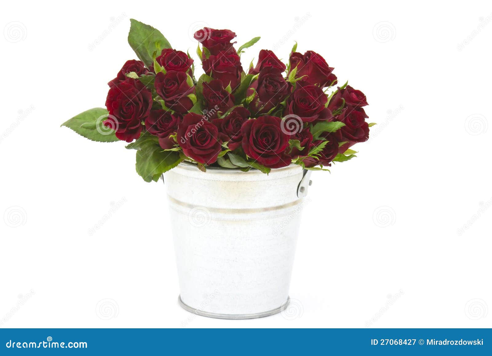 Red roses in a bucket stock image. Image of nature, bloom - 27068427
