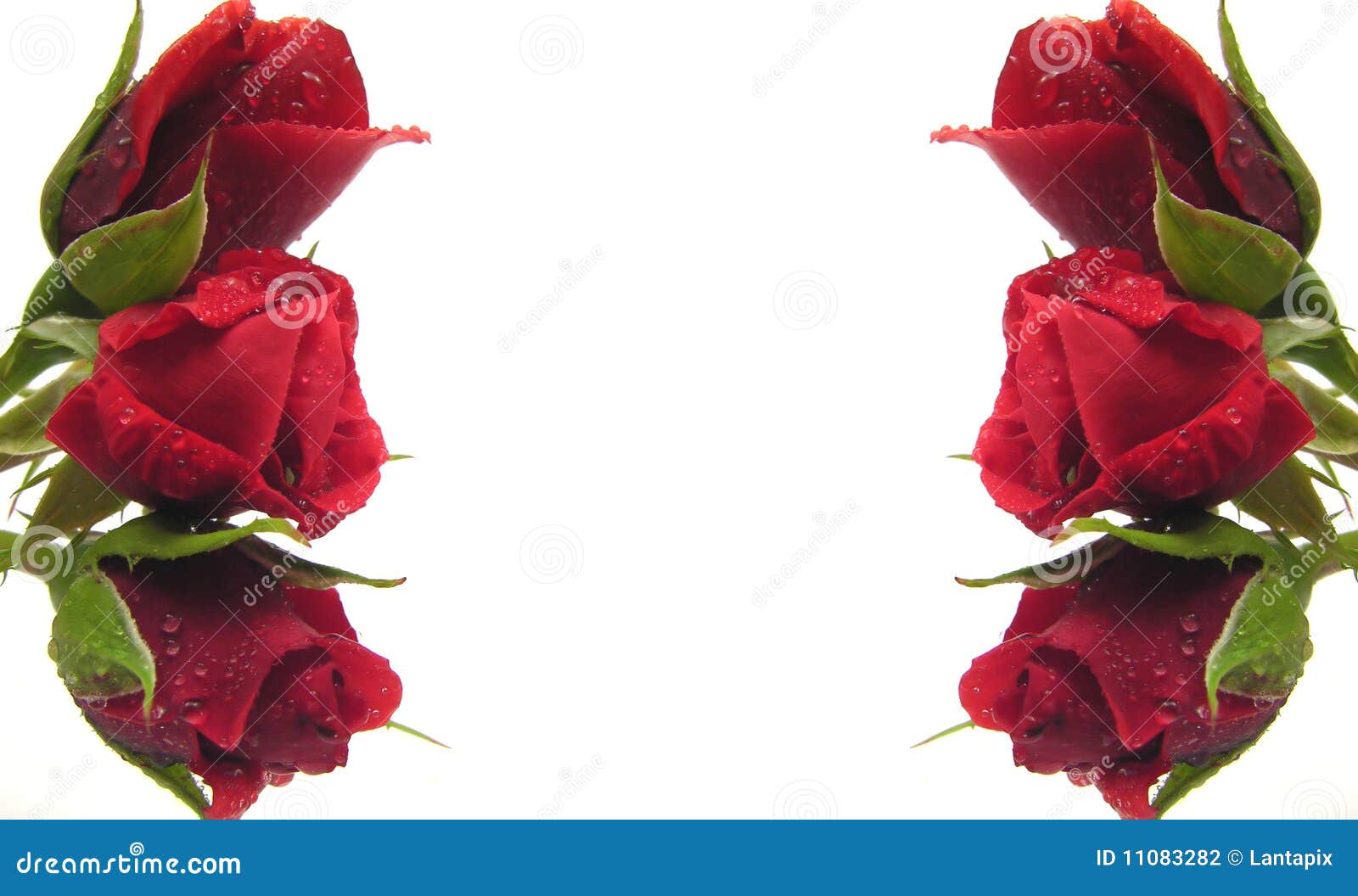 Red Roses Build a Frame As Background Stock Photo - Image of rose ...