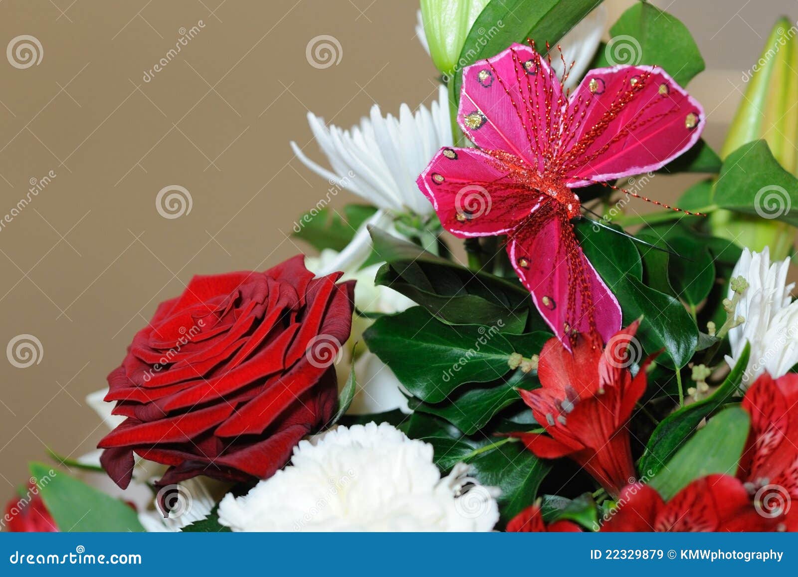Red roses and butterfly. stock image. Image of love, celebrate - 22329879