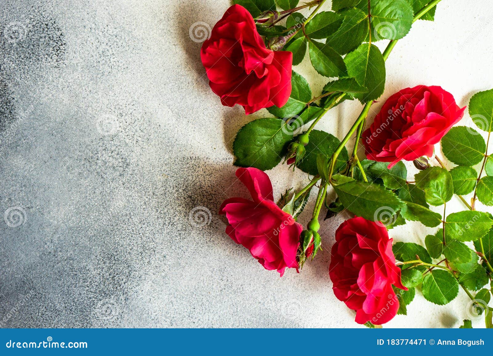 Red roses card concept stock image. Image of nature - 183774471