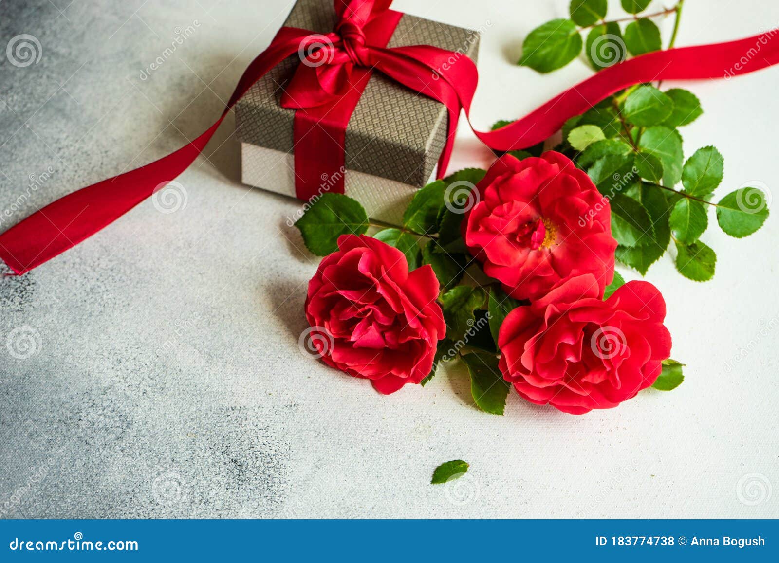Red roses card concept stock photo. Image of floral - 183774738