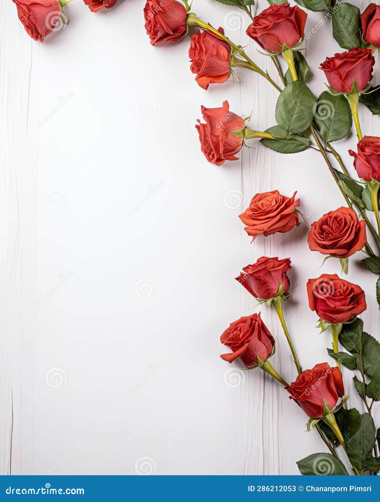 Red Roses on Clean White Background Stock Illustration - Illustration ...