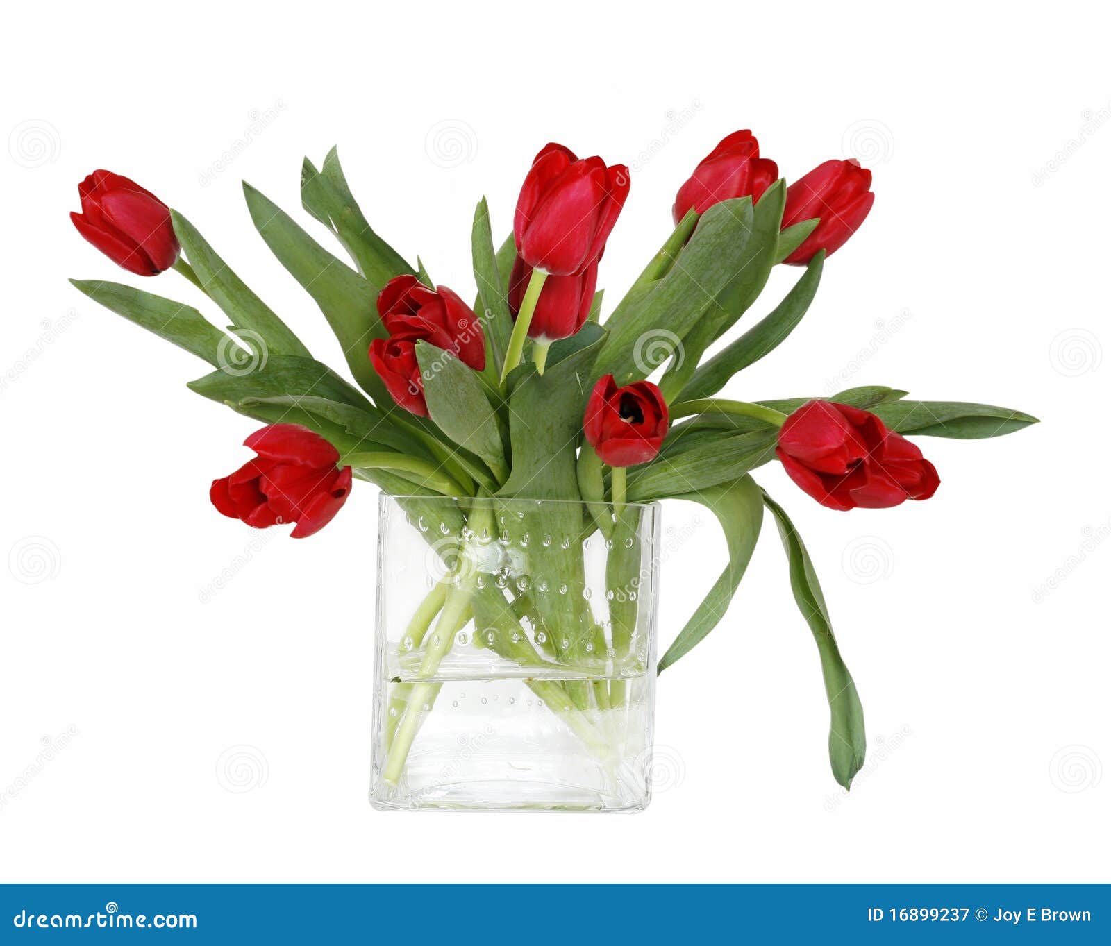 Red roses in clear vase stock image. Image of floral - 16899237