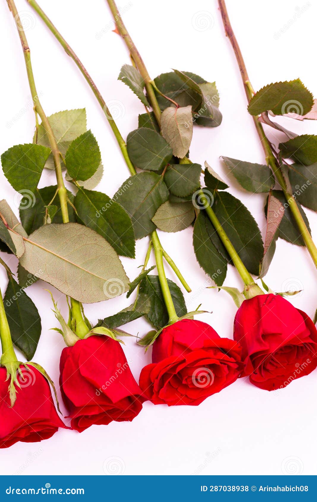 Red roses stock photo. Image of five, rose, bouquet - 287038938