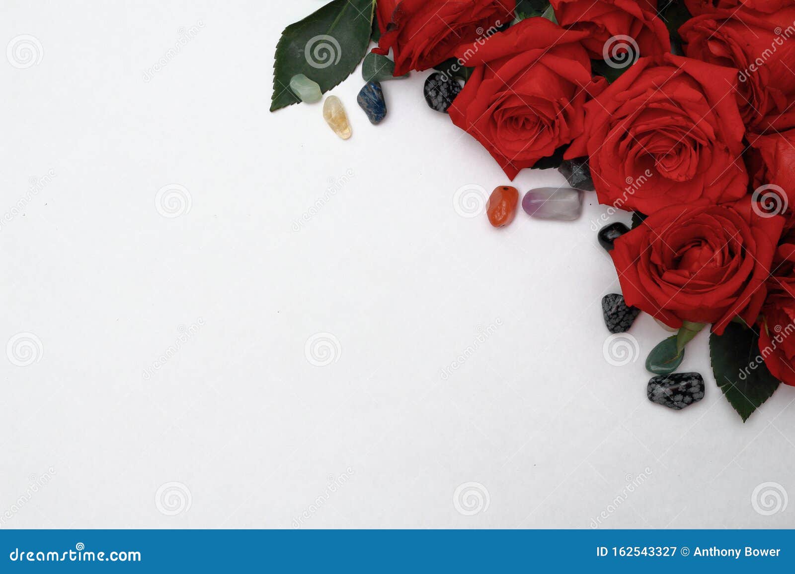 Red Roses with Colourful Pebbles on a White Background. Stock Image ...