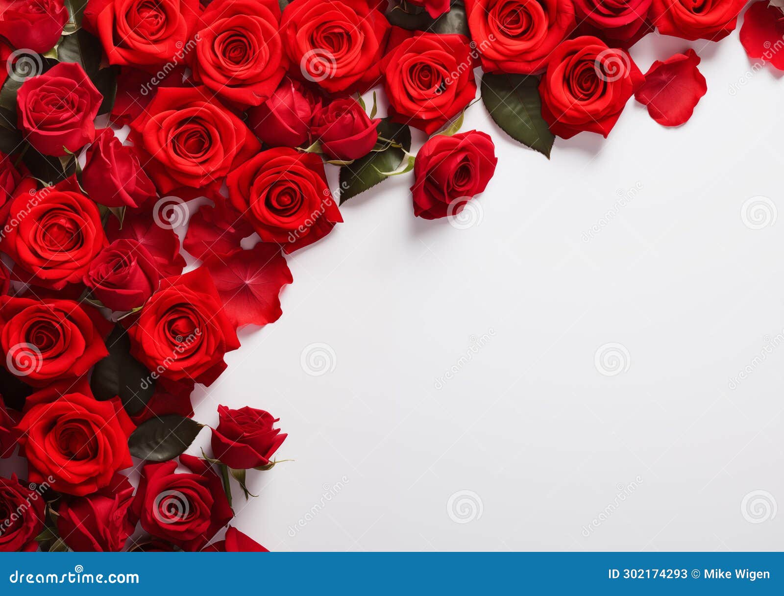 Red Roses - Decorative Border with Center Copy Space Stock Illustration ...