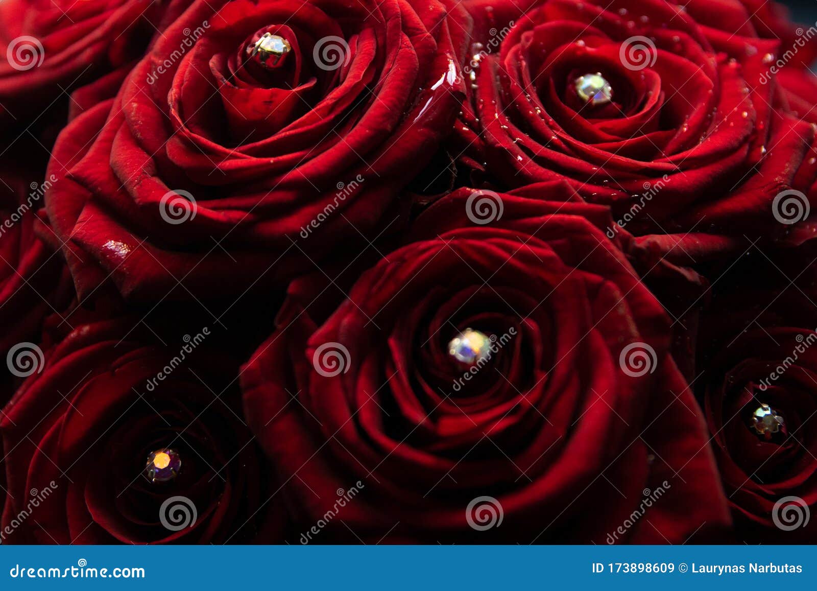 Red roses with diamonds stock image. Image of weddings - 173898609