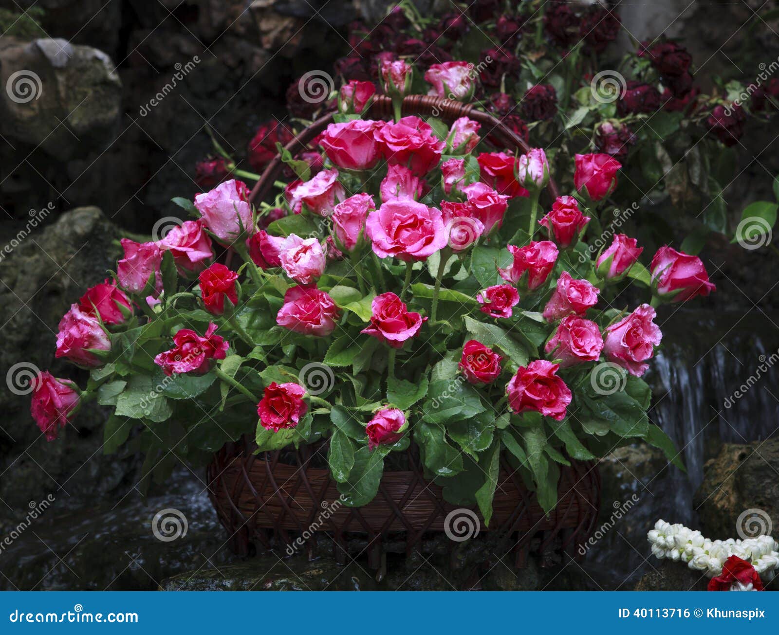 Red Roses Flower in Rattan Basket Stock Photo - Image of decor, basket ...