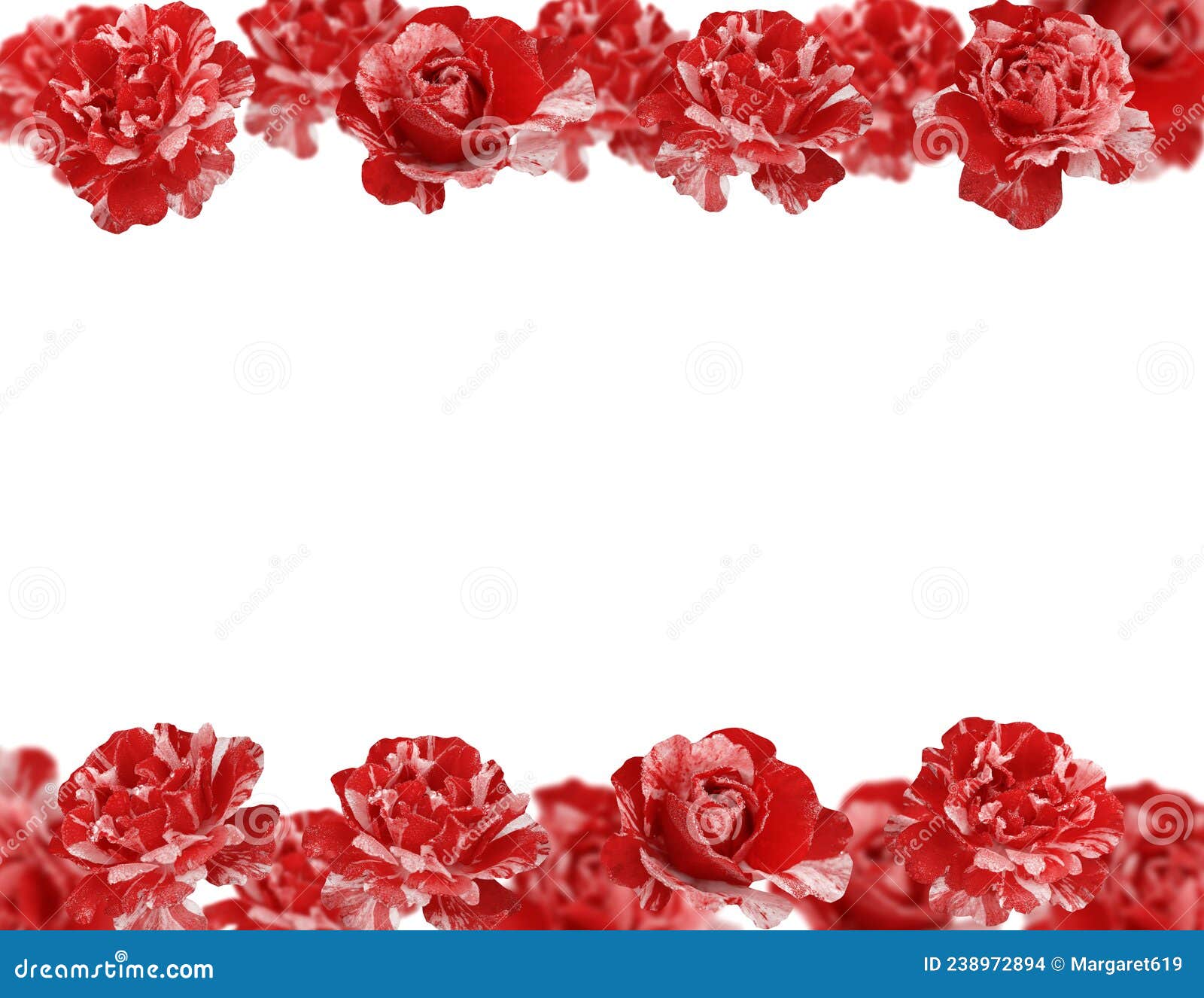 Red Roses Flowers Border for Text. Stock Photo - Image of rose, romance ...