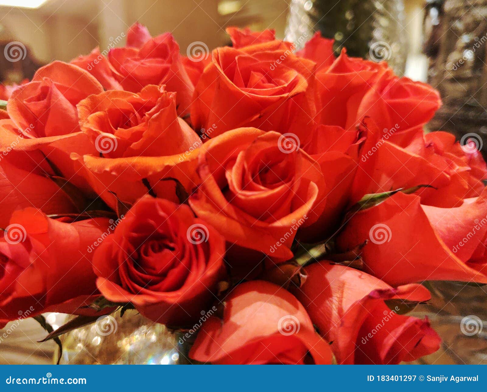 Red Roses Flowers in a Bunch Stock Image - Image of bouquet, yellow ...
