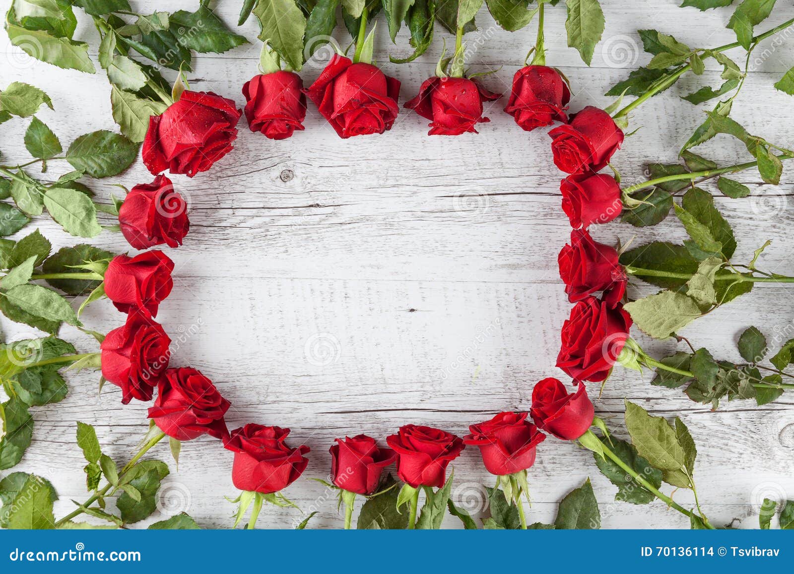 Red roses forming a circle stock photo. Image of spring - 70136114