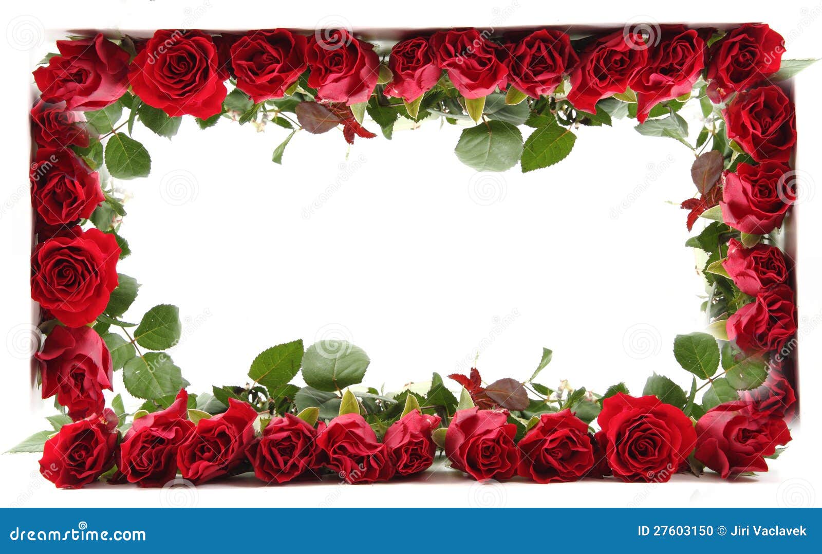 Red roses frame stock photo. Image of love, flirting - 27603150