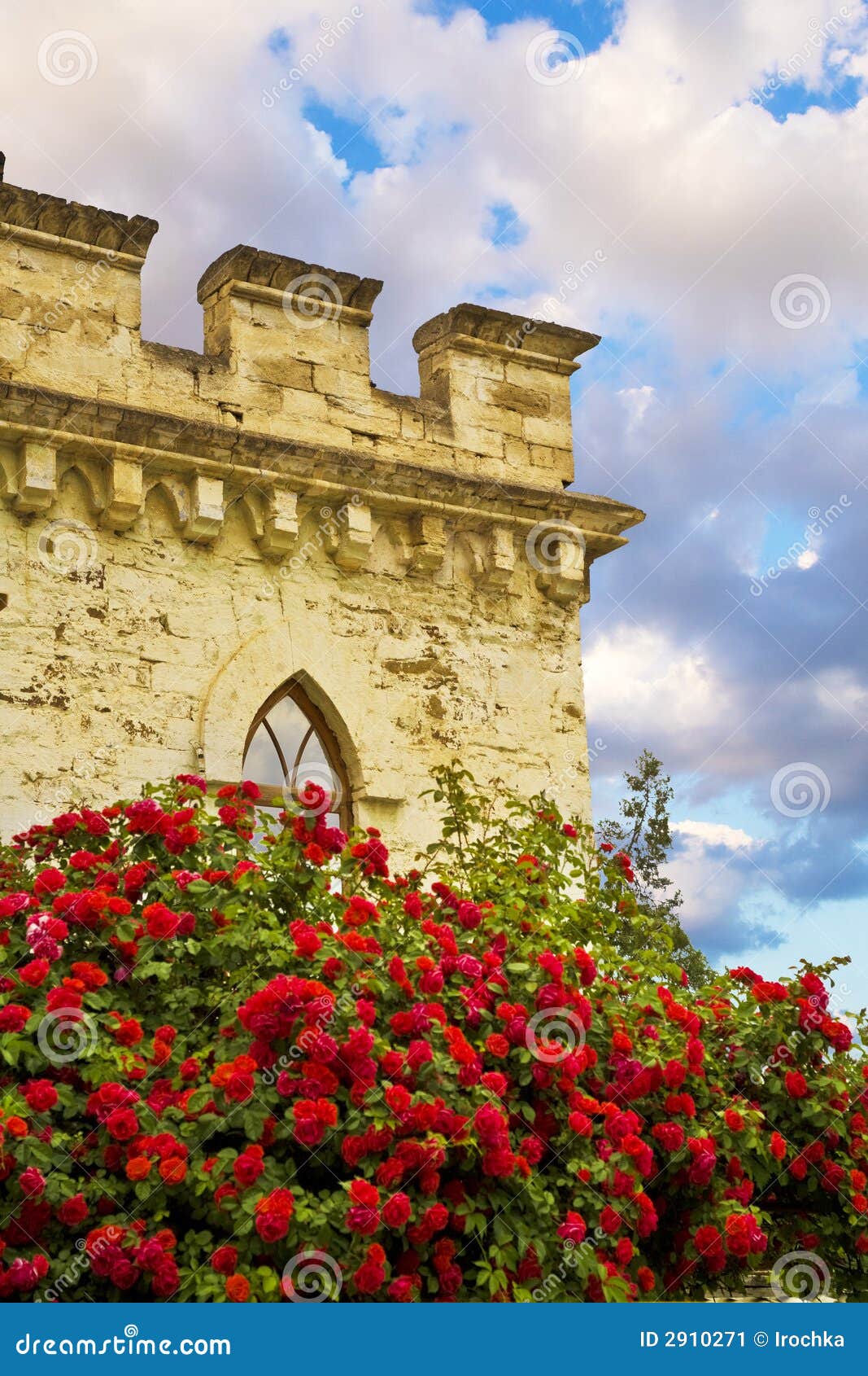 Red Roses in Front of Castle Stock Image - Image of historic, blooming ...