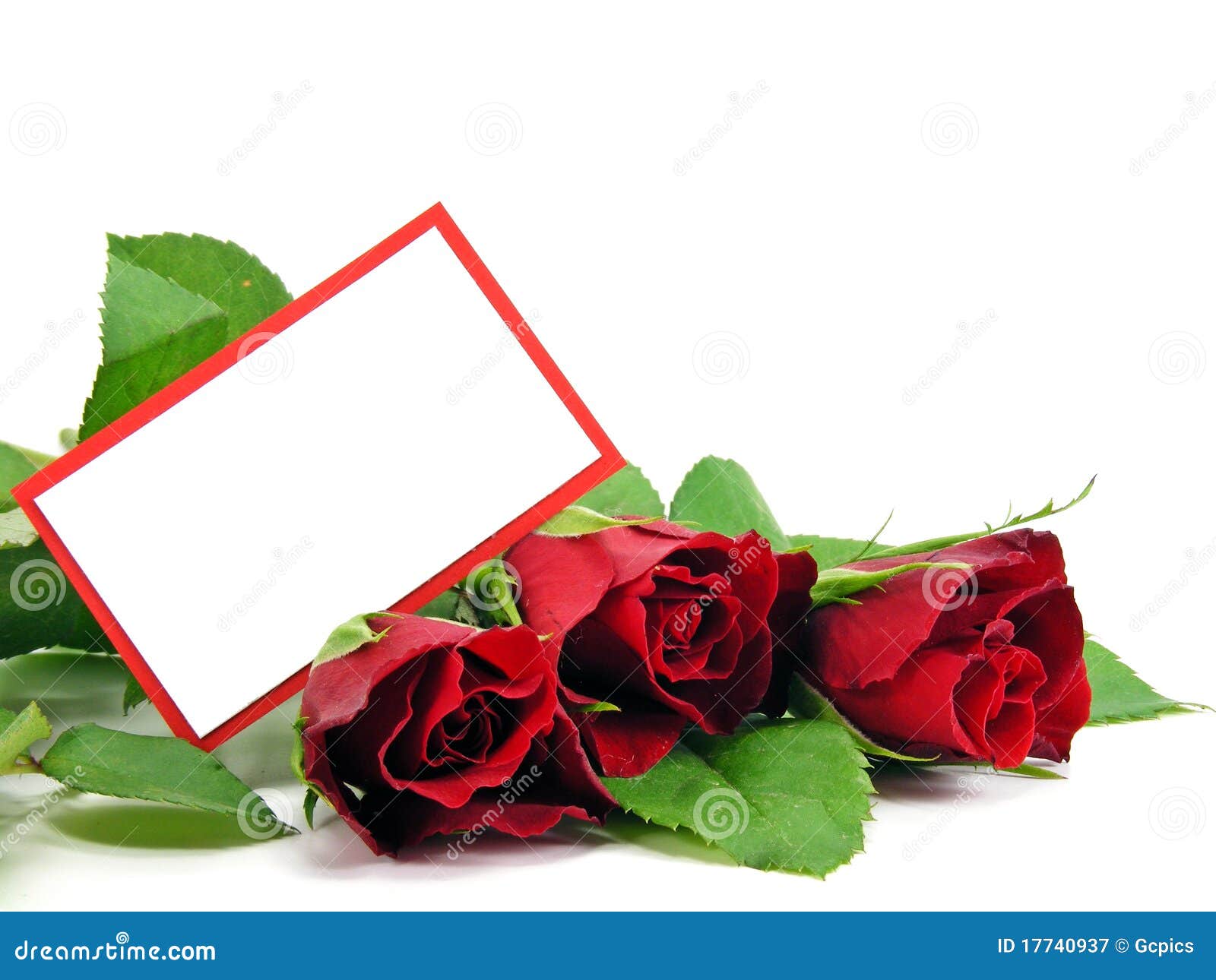 Red roses with gift card stock image. Image of petal - 17740937